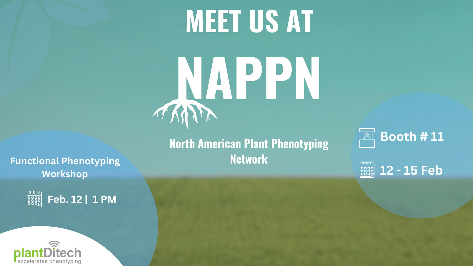 NAPPN, 2024 - Plant-Ditech