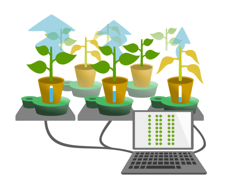 Plant Phenotyping: Automated Phenotype Platform | Plant Ditech