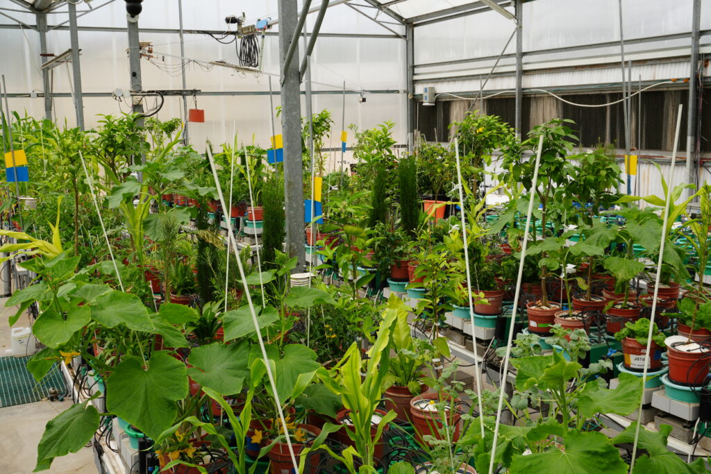 The Science Of Survival - FloraCulture International & Plant-Ditech - Plant-Ditech